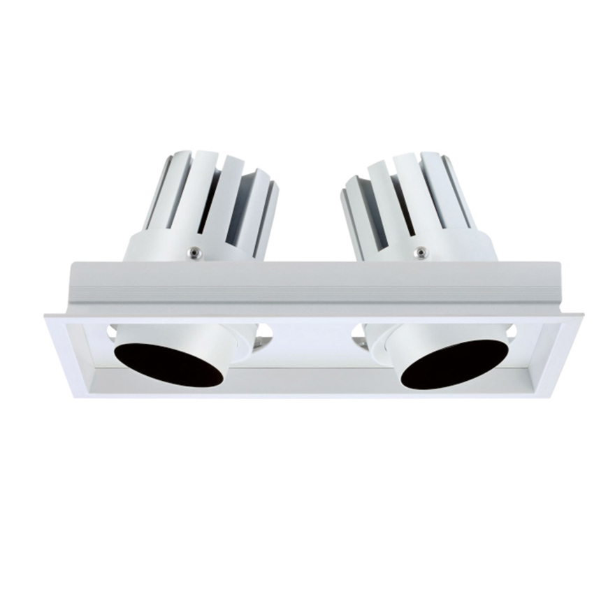Recessed Multiples | Multi-Head LED Recessed Downlights, Tiltable ...