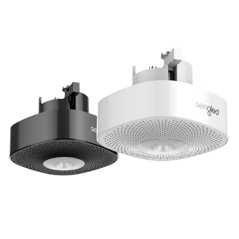 Smart LED Downlight with Bluetooth Loudspeaker